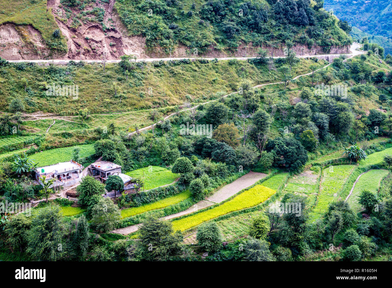 Landscape in Chakrata, Jaunsar-Bawar, Uttrakhand, India Stock Photo - Alamy