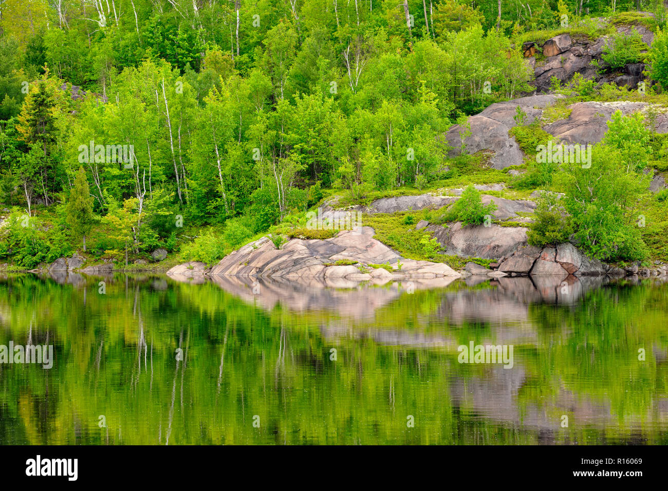 Spring forest and rock outcrops reflected in Elbow Lake, Wanup, Ontario ...