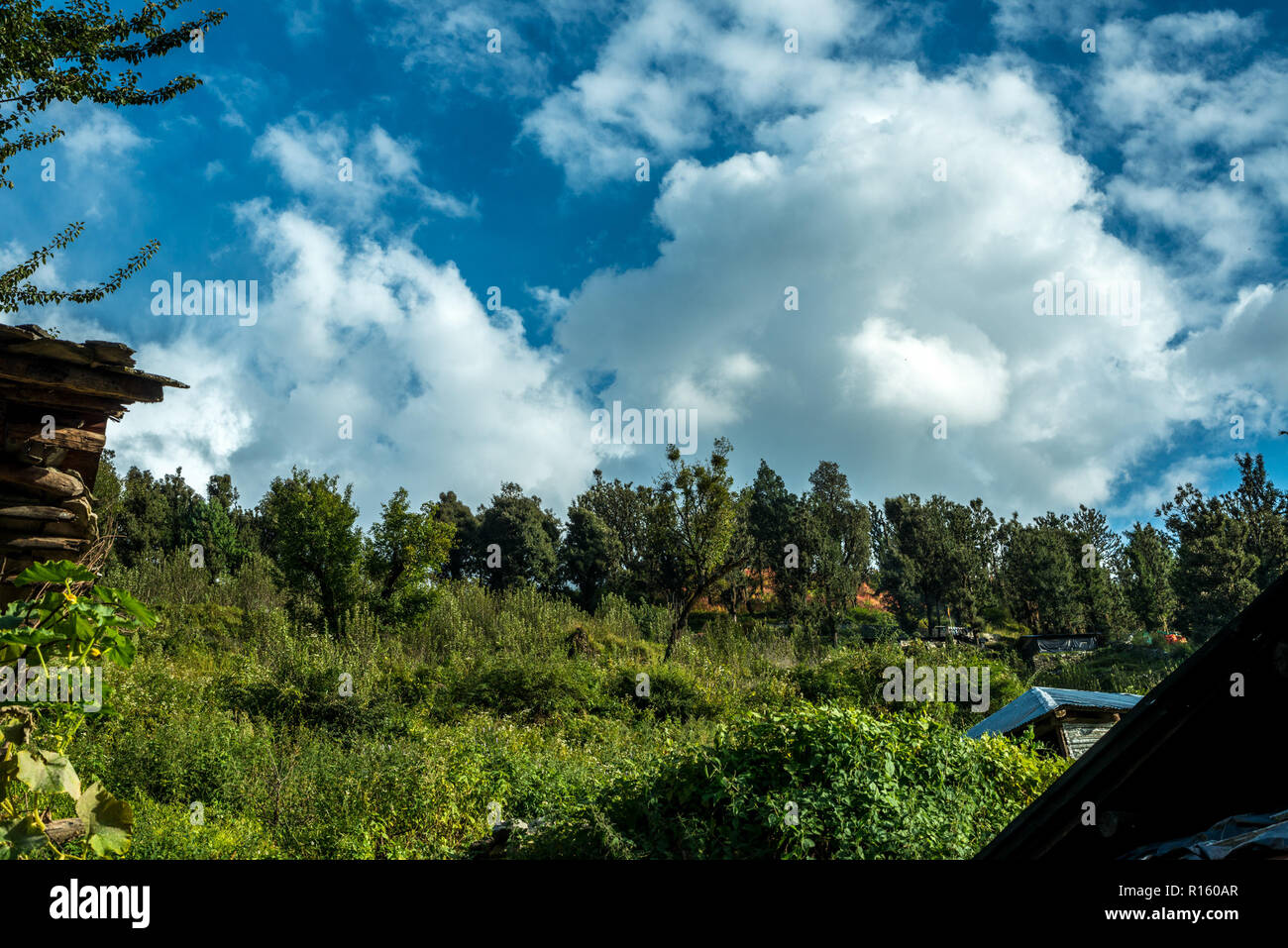 A Traditional Himalayan Wooden House in Sankri Range, Uttrakhand, India ...