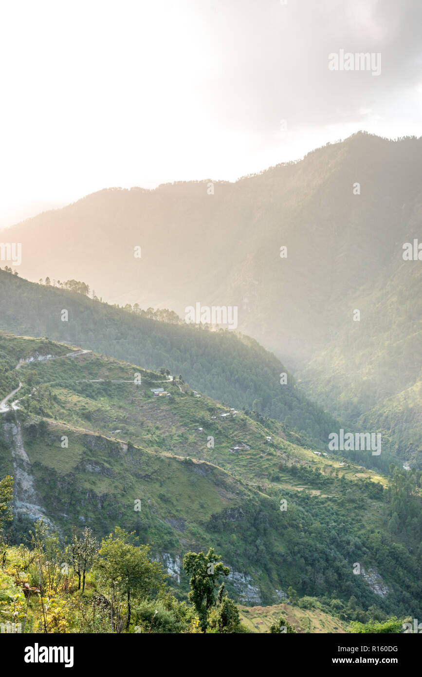 Step Farming in Uttrakhand Stock Photo - Alamy