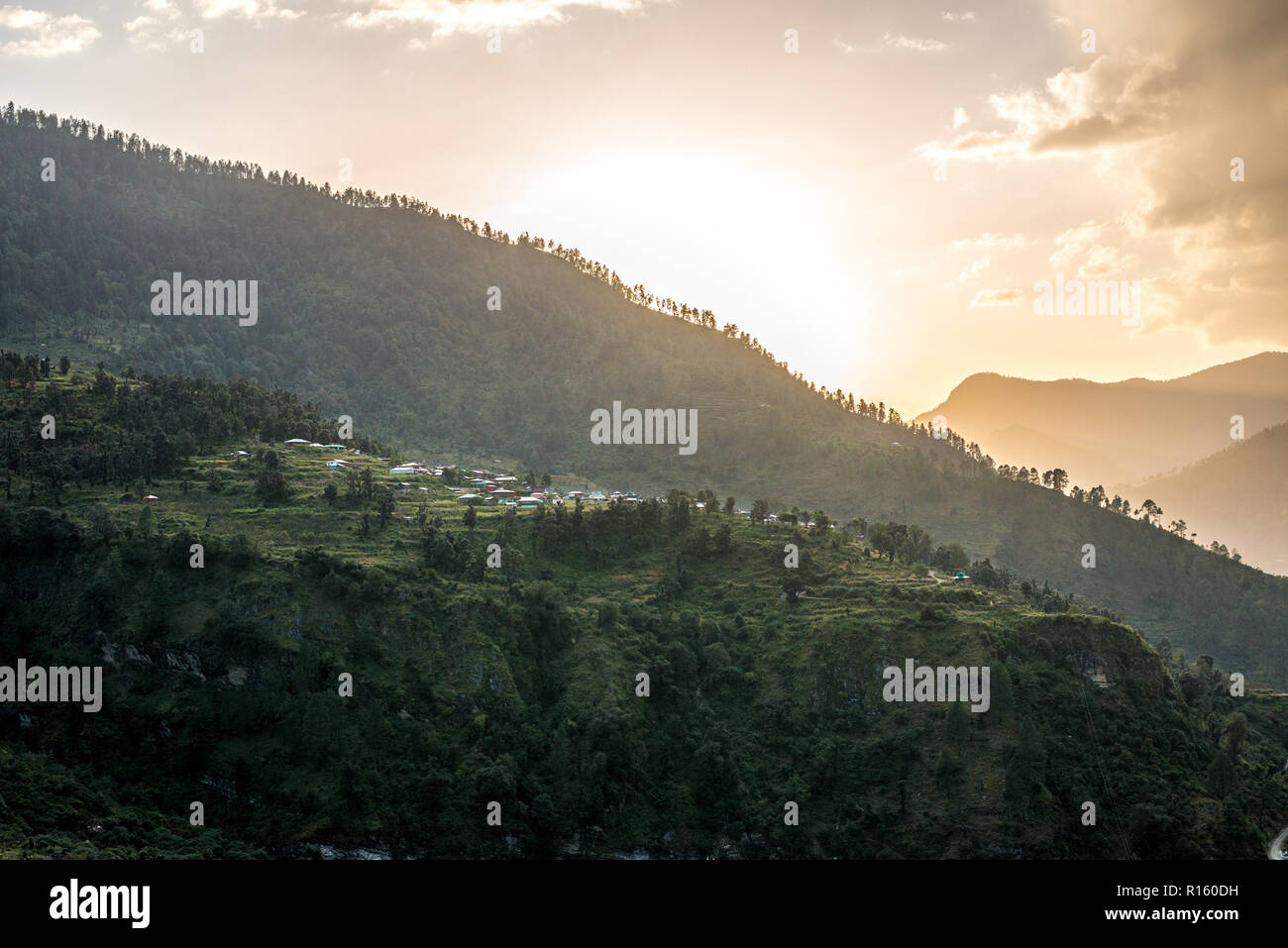 Step Farming in Uttrakhand Stock Photo - Alamy