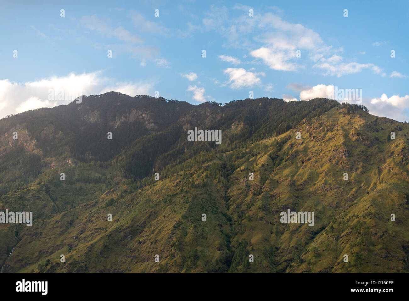 Evening in Sankri Range, Uttrakhand, India Stock Photo - Alamy