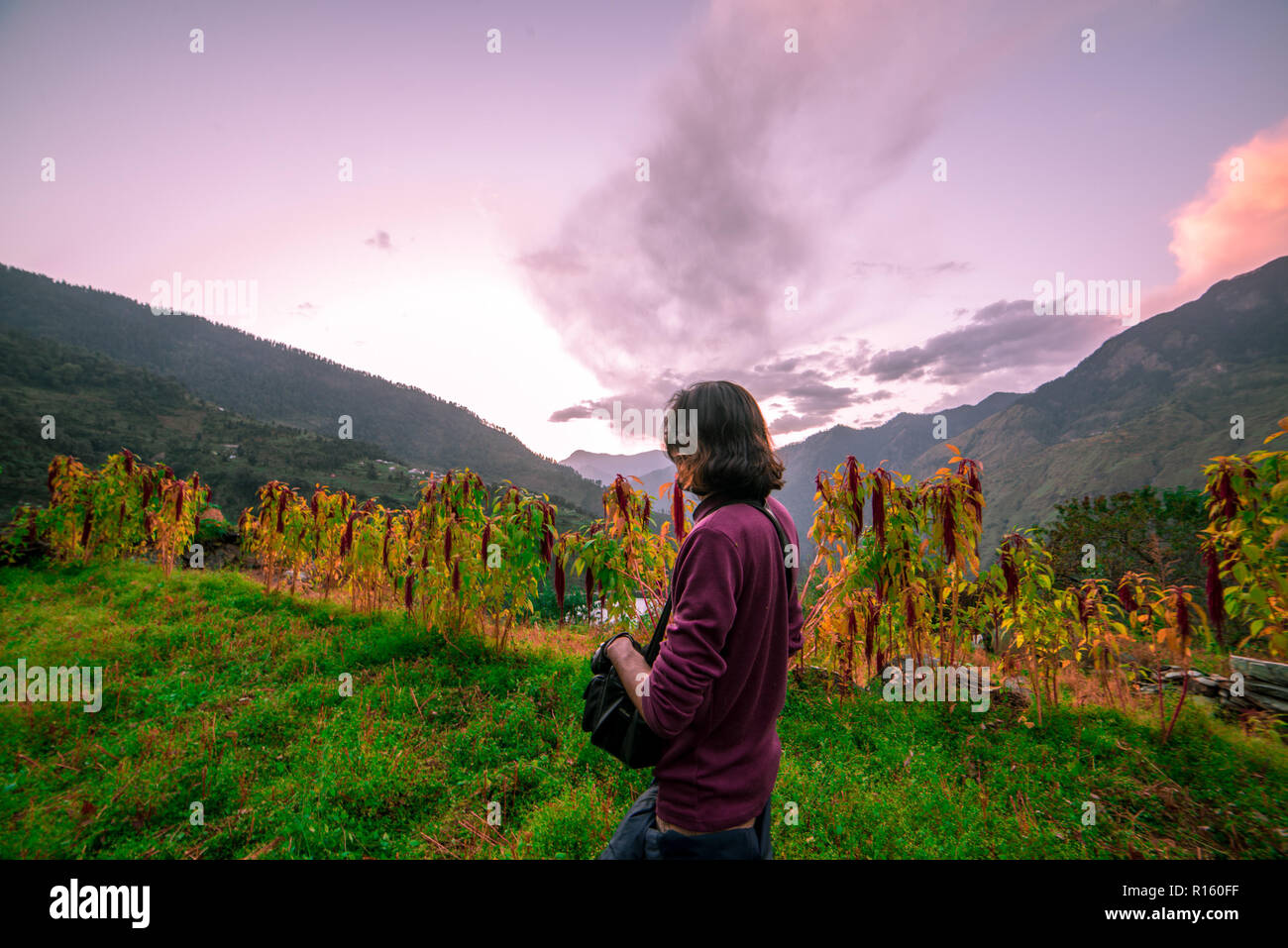 Solo Traveler in Sankri Range, Uttrakhand, India Stock Photo - Alamy