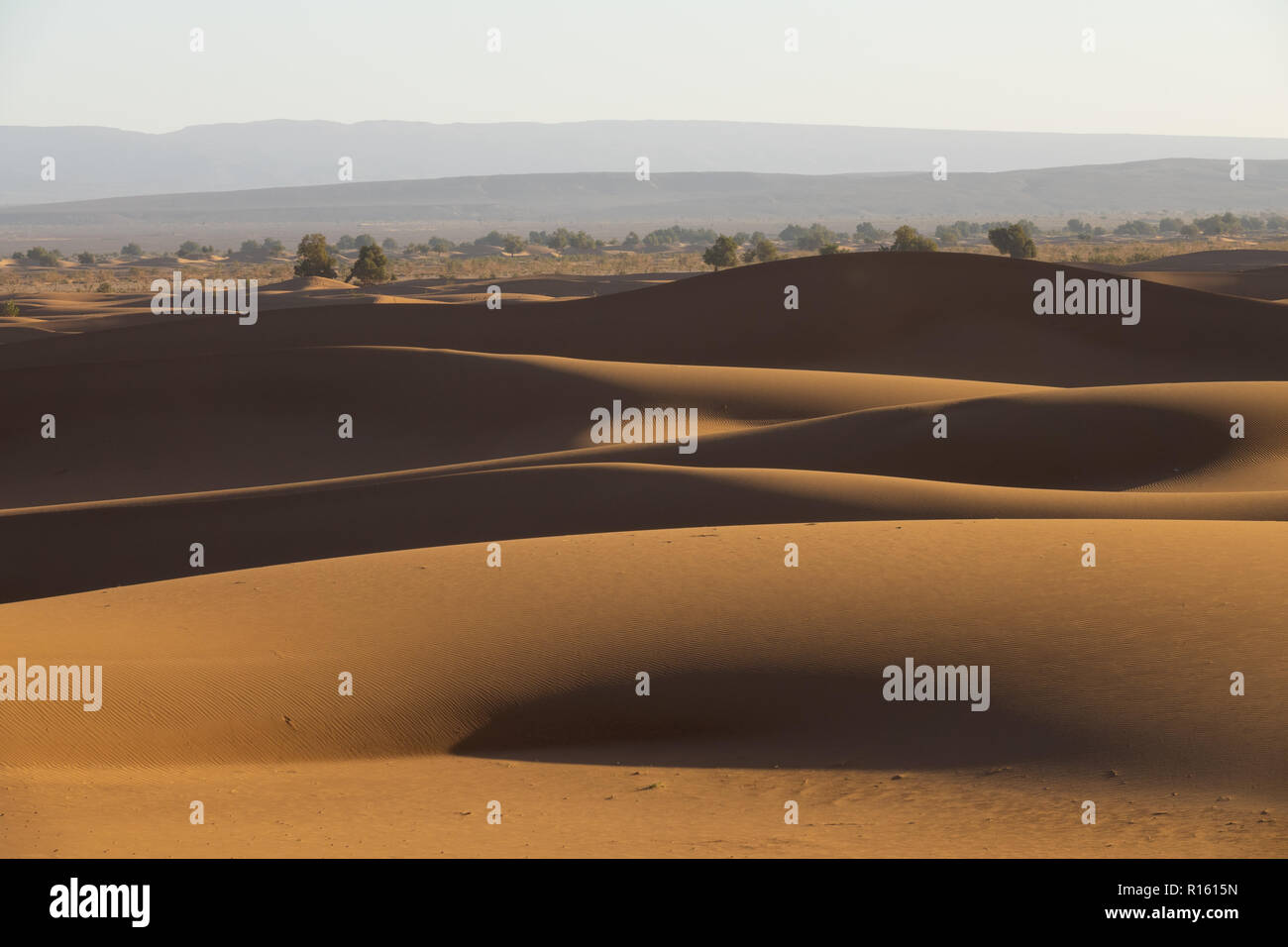 Sahara desert sun sky hi-res stock photography and images - Alamy