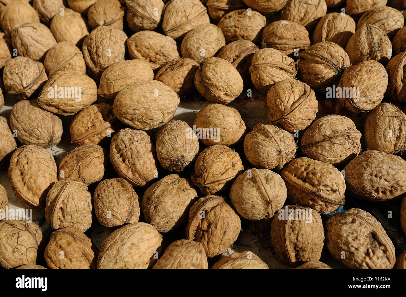 Group of nuts, nuts, vegetable oil Stock Photo - Alamy