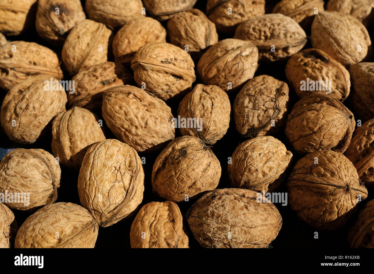 Group of nuts, nuts, vegetable oil Stock Photo - Alamy
