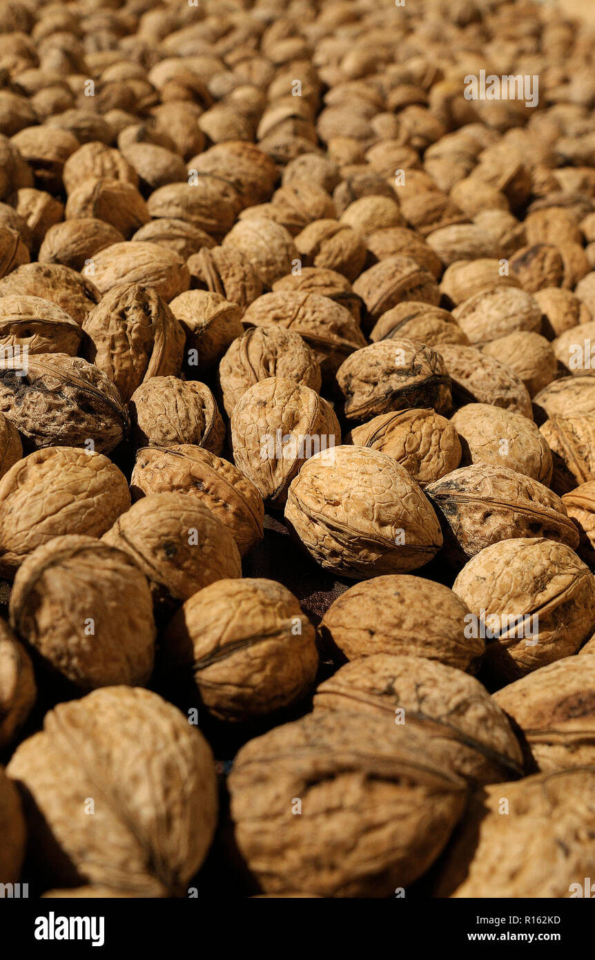 Group of nuts, nuts, vegetable oil Stock Photo - Alamy