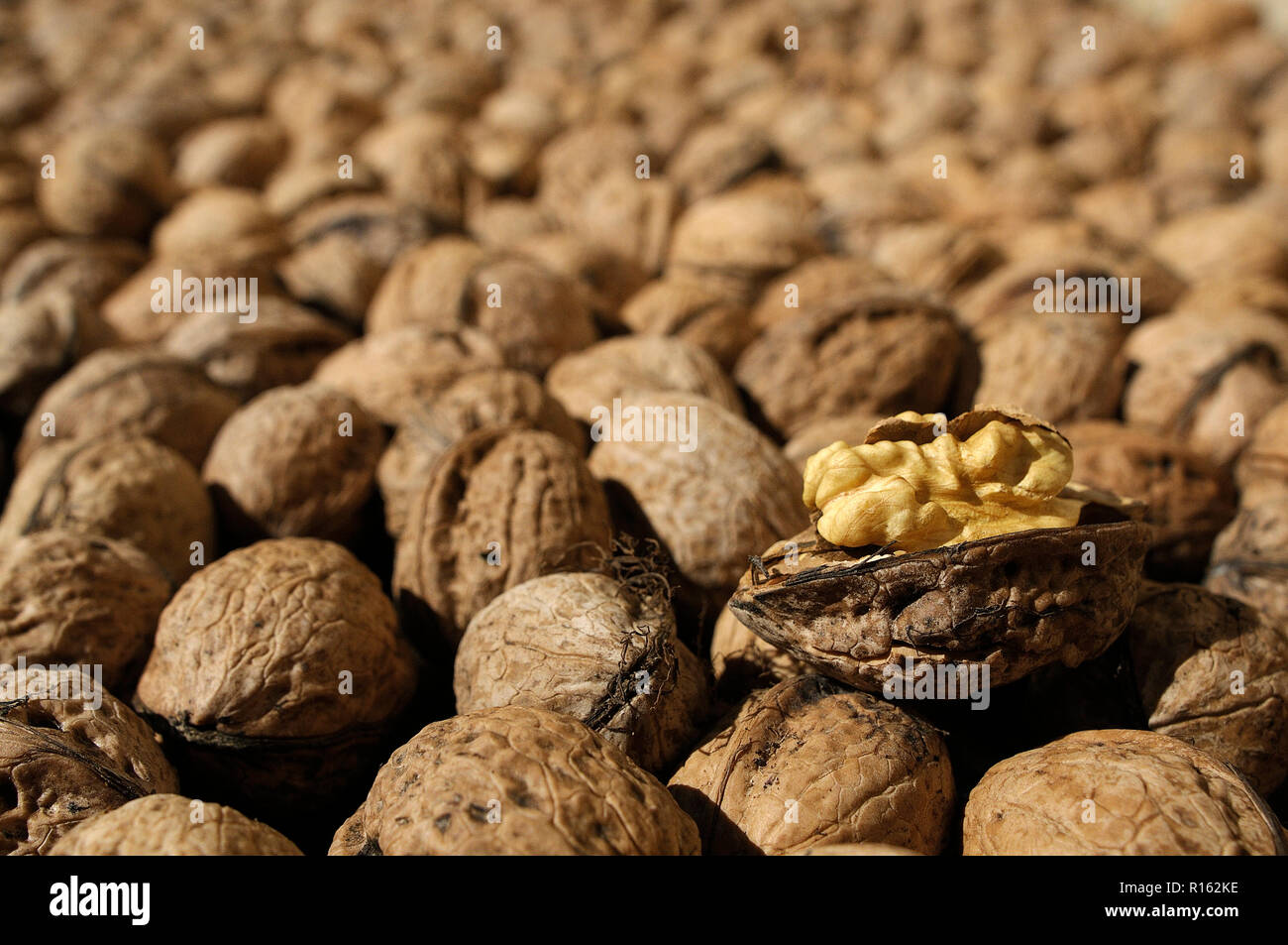 Group of nuts, nuts, vegetable oil Stock Photo - Alamy