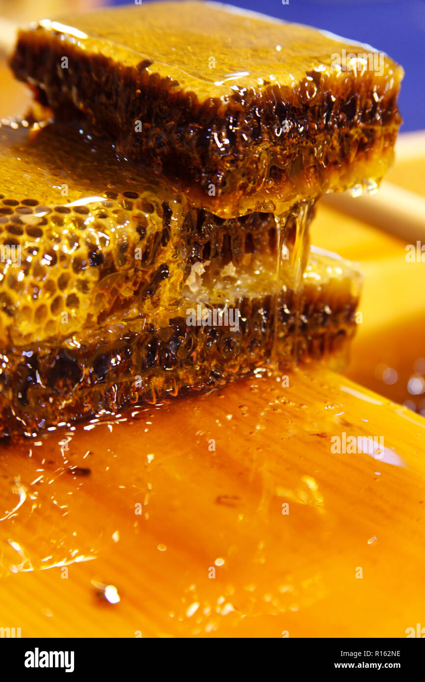 Fresh honey combs Stock Photo - Alamy