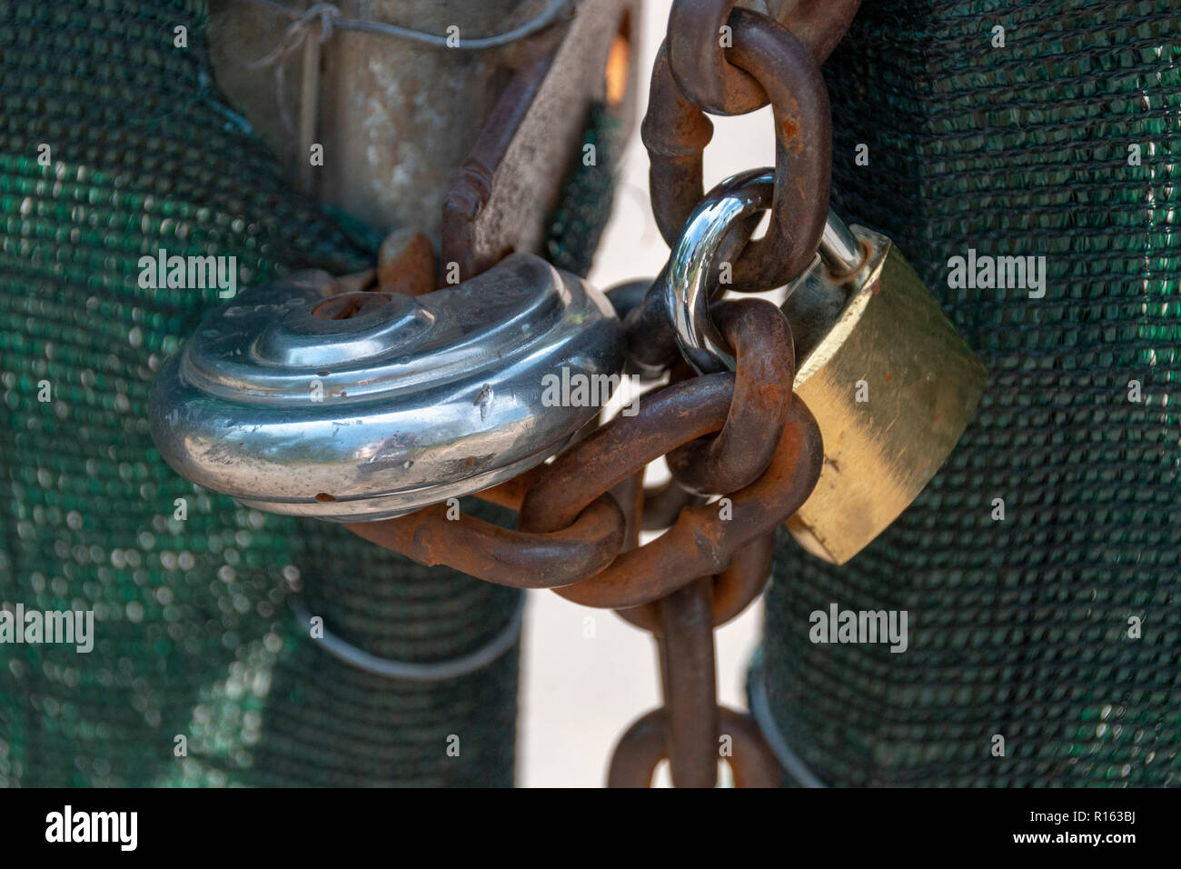 A close up view of two locks and a old rusted chain securing a matal ...
