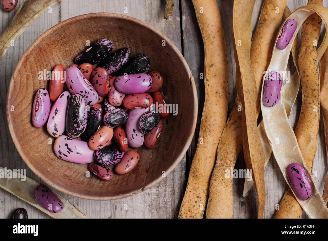 Pods of beans hi-res stock photography and images - Alamy