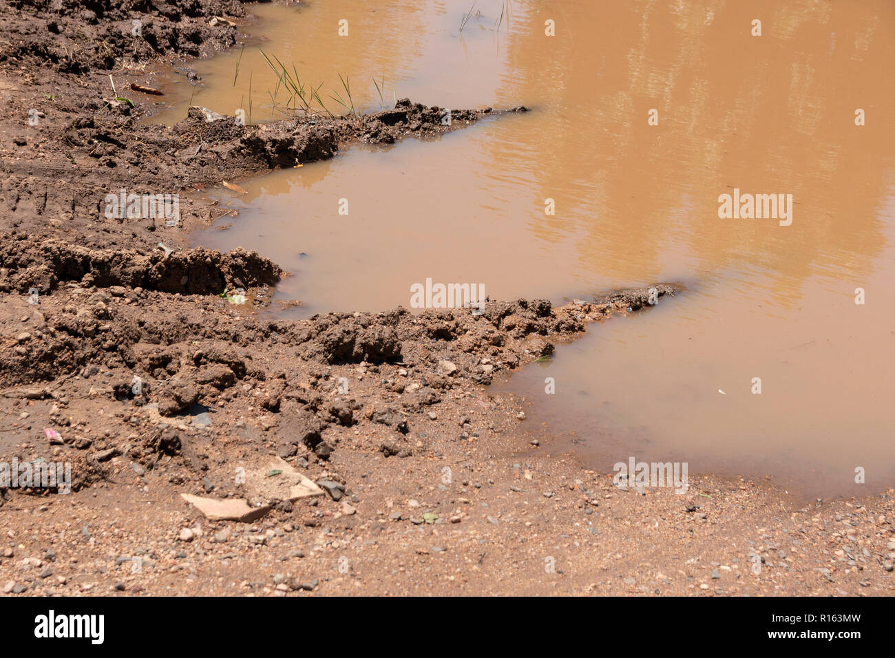 Texture mud wet dirt puddle hi-res stock photography and images - Alamy