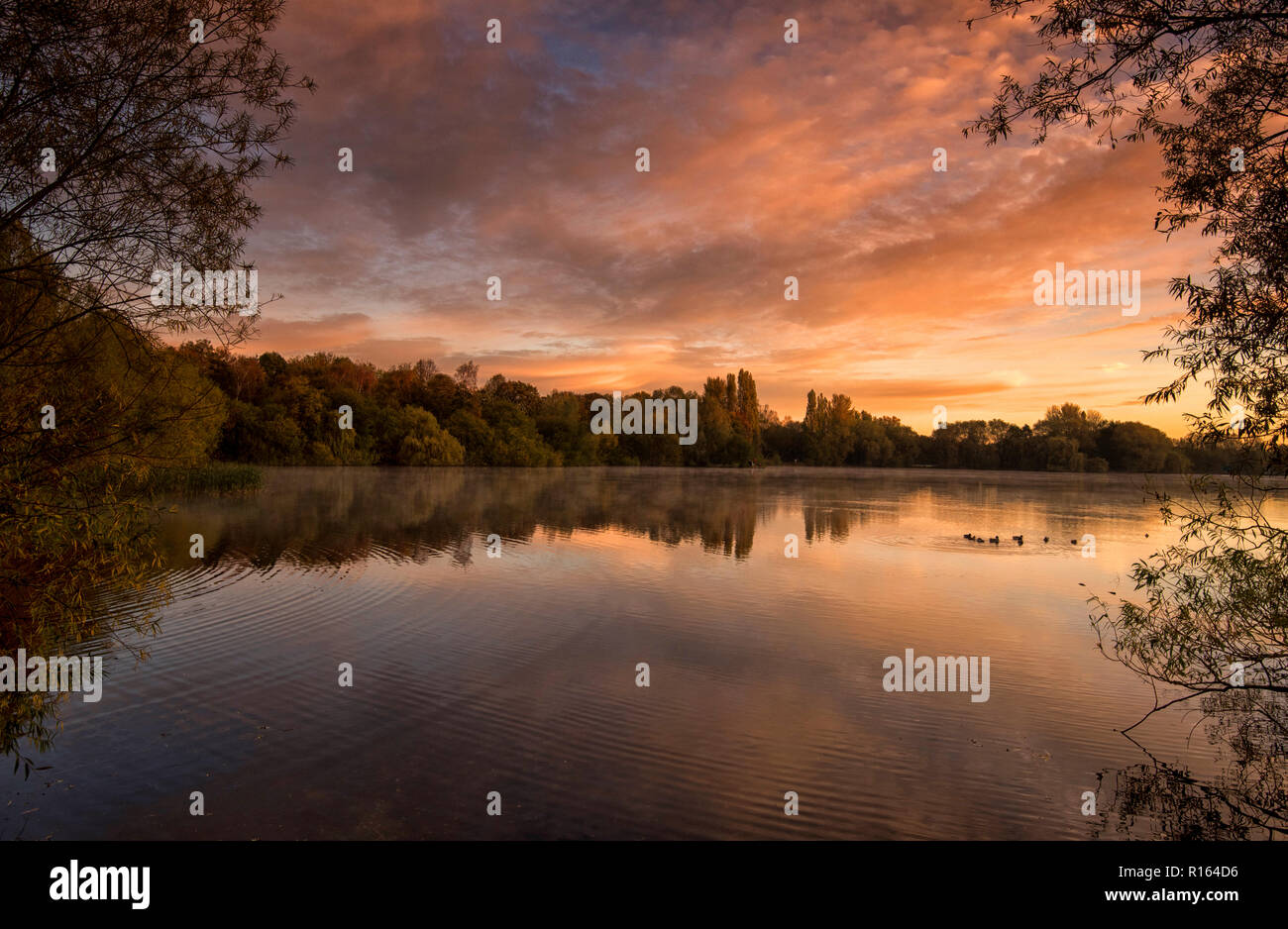 Sunrise reflections on the Lake at Colwick Country Park in Nottingham ...