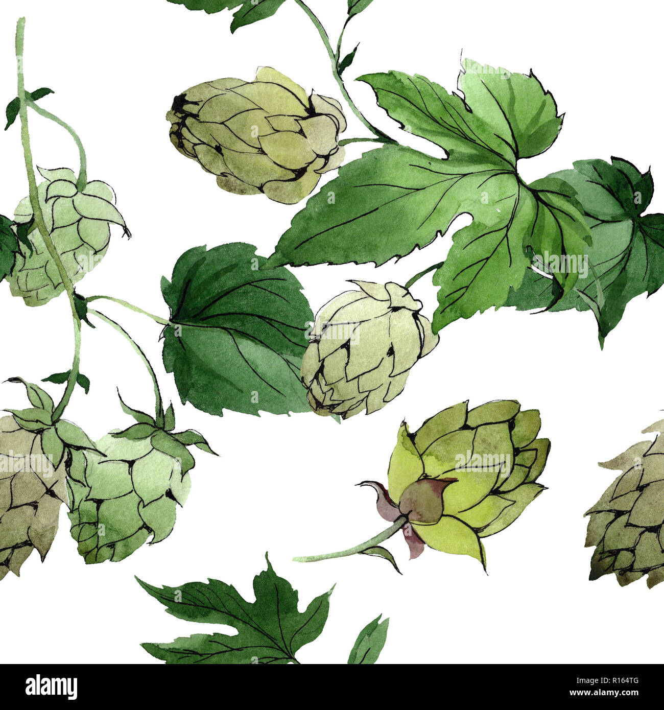 Hops. Green leaf. Botanical garden floral foliage. Watercolor ...
