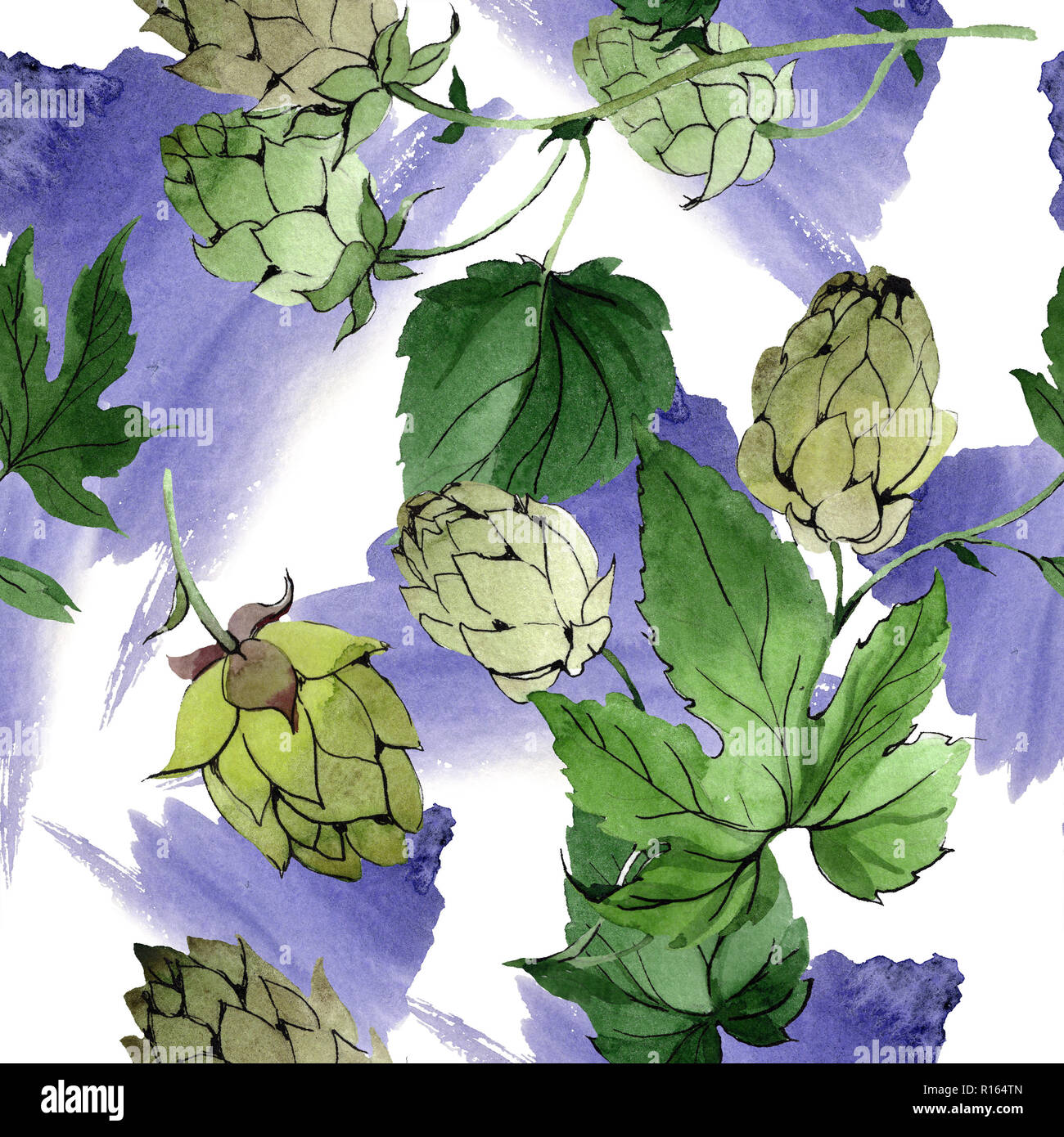 Hops. Green leaf. Botanical garden floral foliage. Watercolor ...
