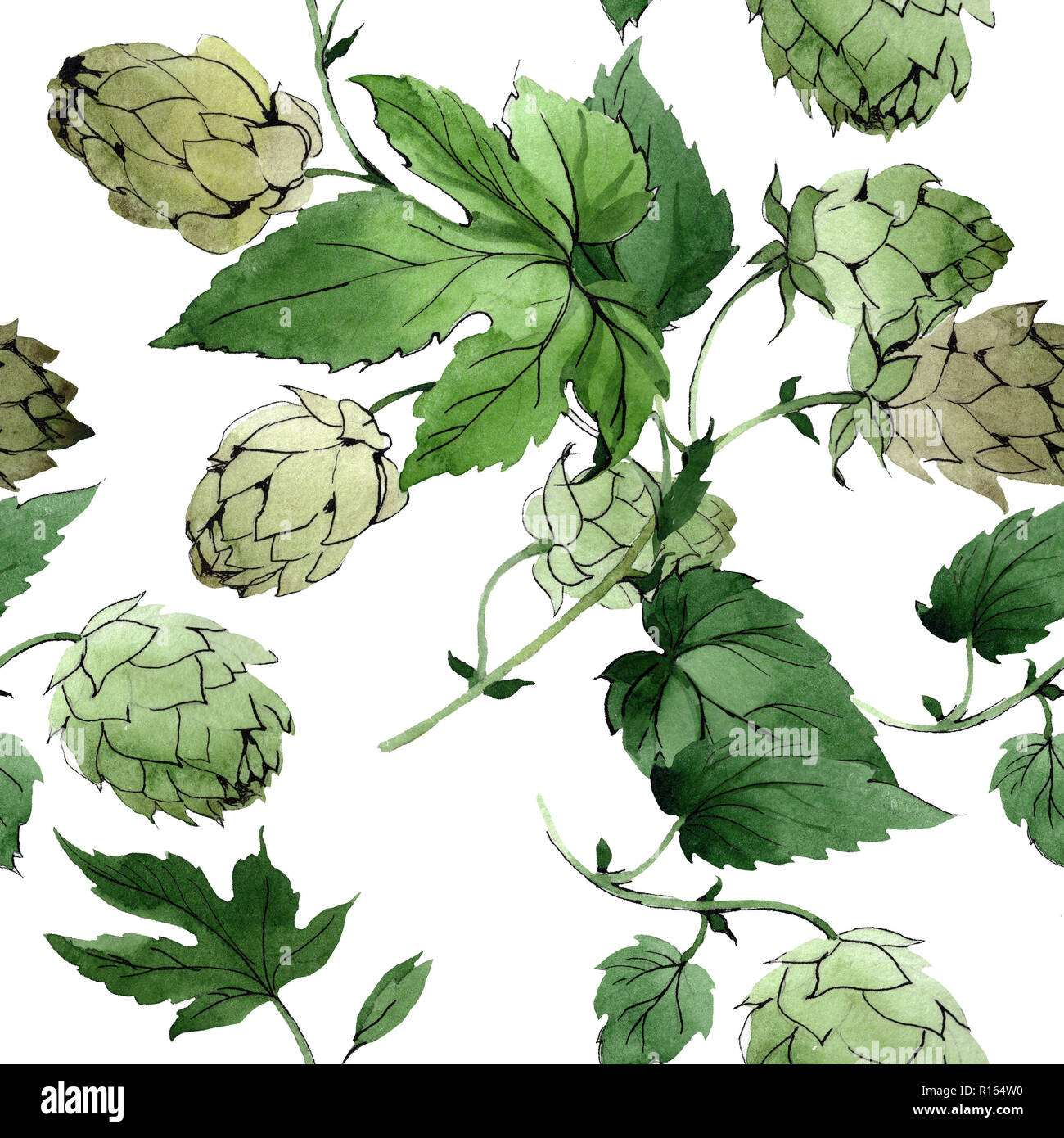 Hops. Green leaf. Botanical garden floral foliage. Watercolor ...
