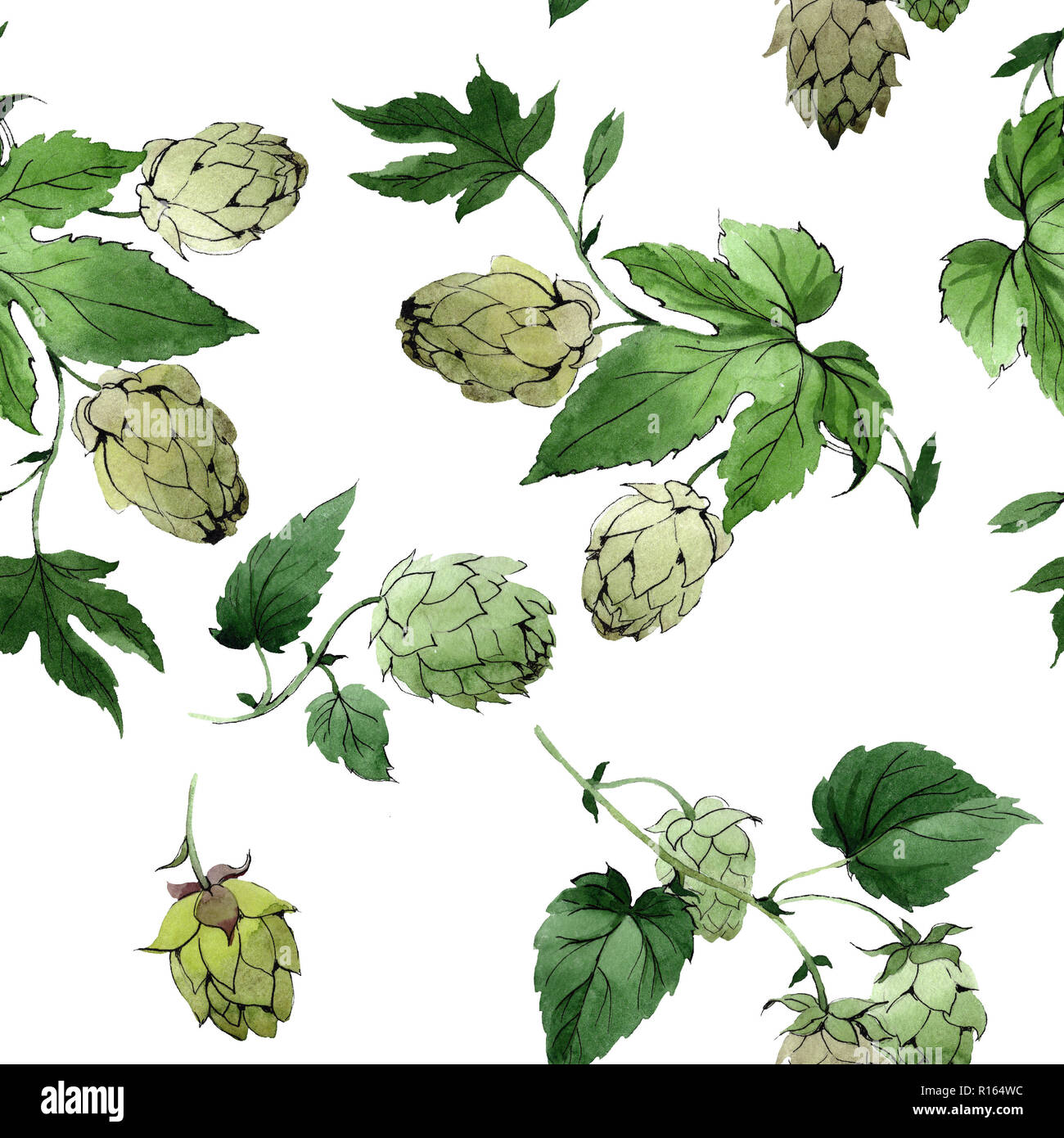 Hops. Green leaf. Botanical garden floral foliage. Watercolor ...