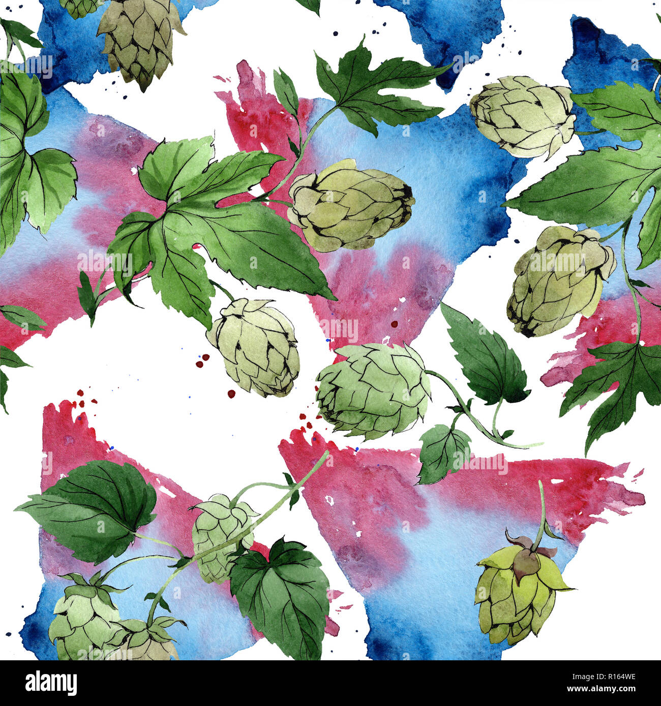 Hops. Green leaf. Botanical garden floral foliage. Watercolor ...