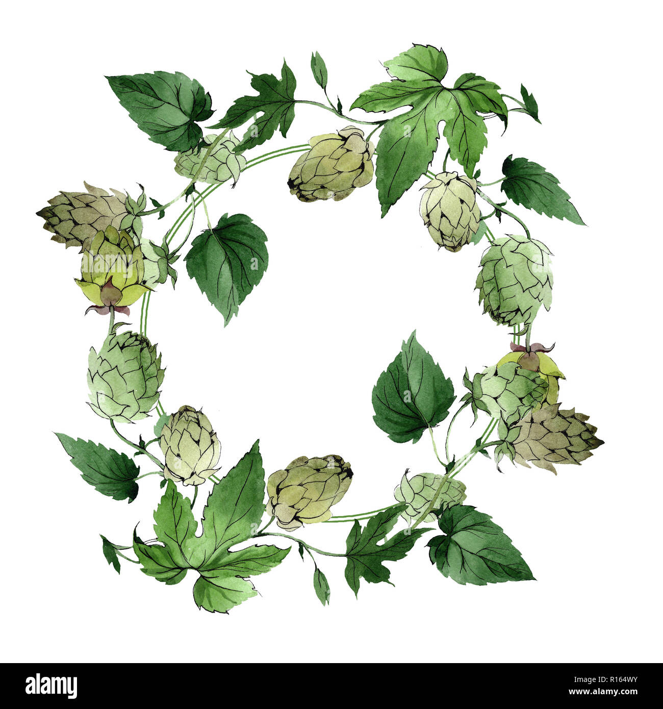 Hops. Green leaf. Frame border ornament. Botanical garden floral ...