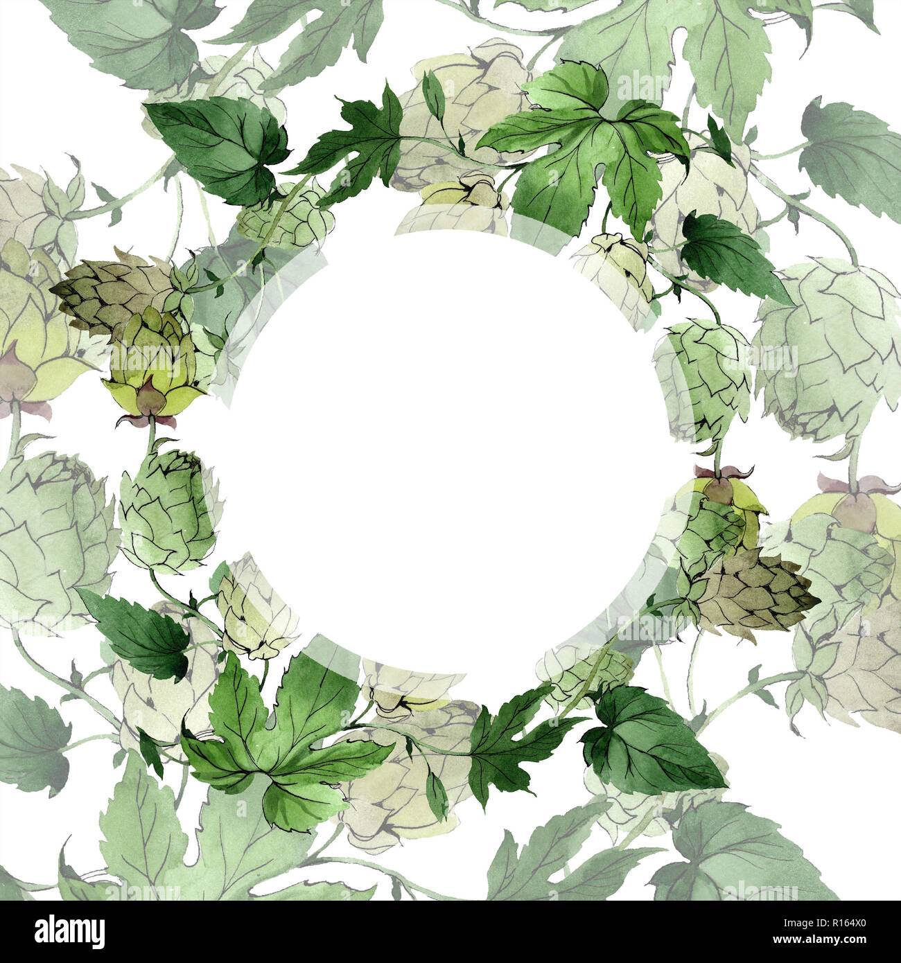 Hops. Green leaf. Frame border ornament. Botanical garden floral ...