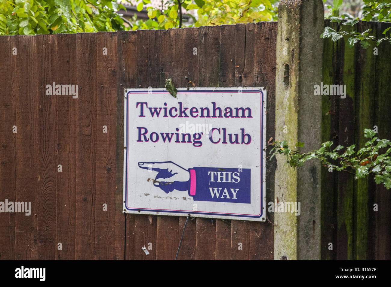 Twickenham rowing club hi-res stock photography and images - Alamy