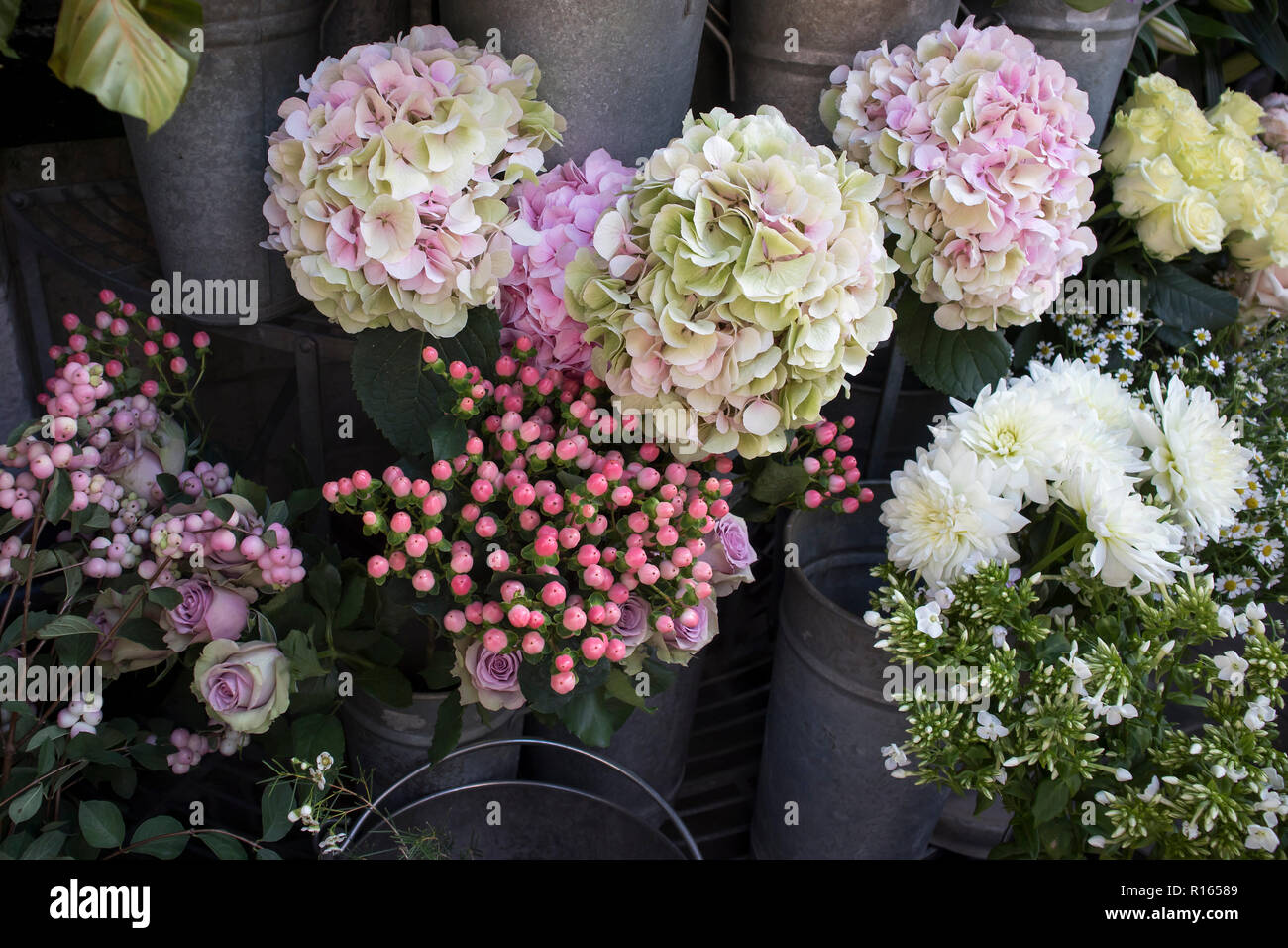 The colorful variety of flowers sold in the market in London Stock ...
