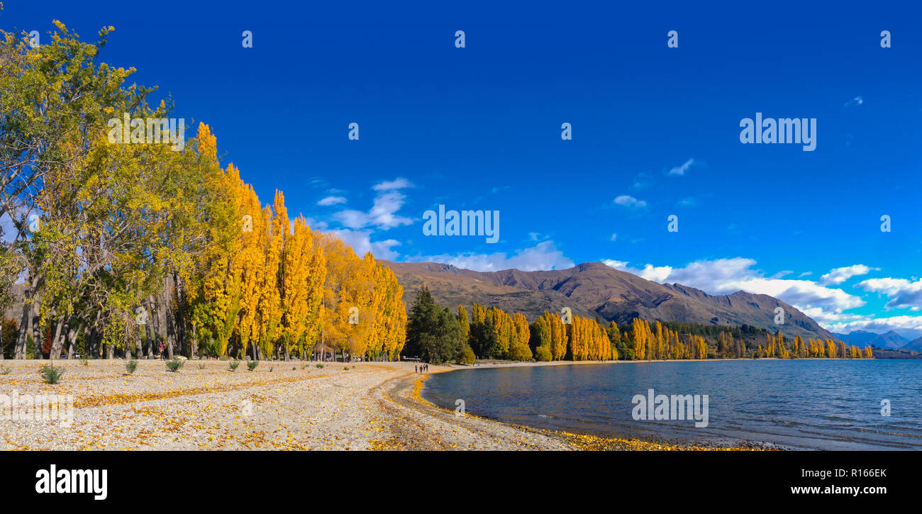 scenic view at Lake Wanaka in Wanaka town, New Zealand Stock Photo - Alamy