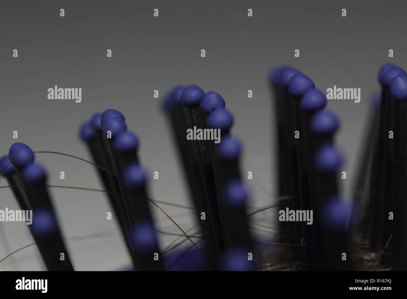 Bristle hair hi-res stock photography and images - Alamy