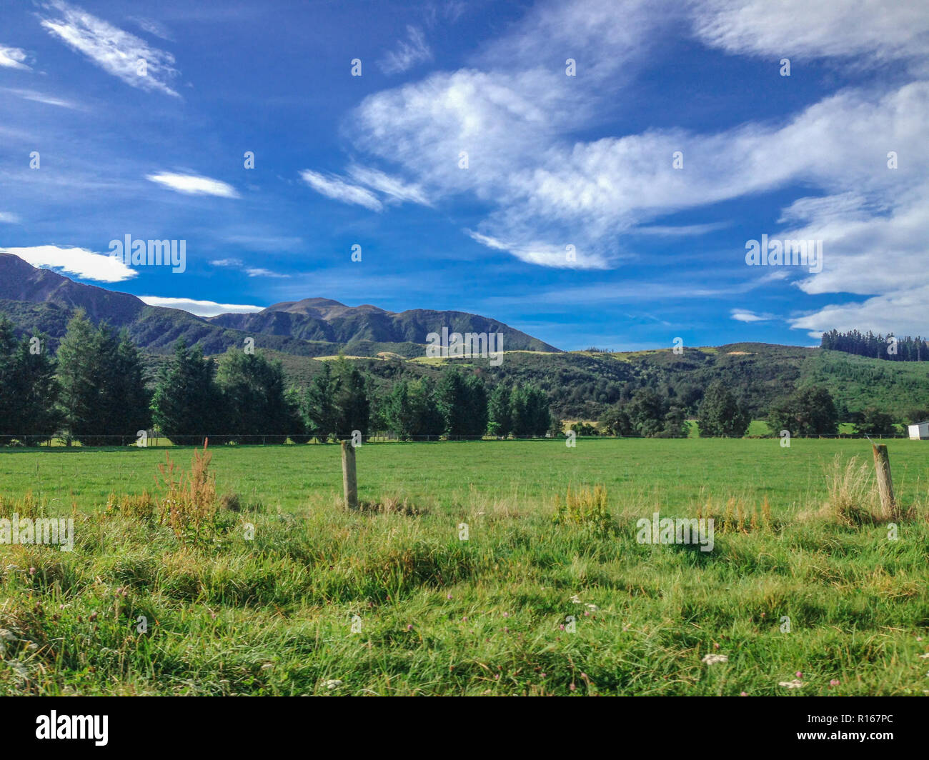 typical landscape on the South Island of New Zealand Stock Photo - Alamy