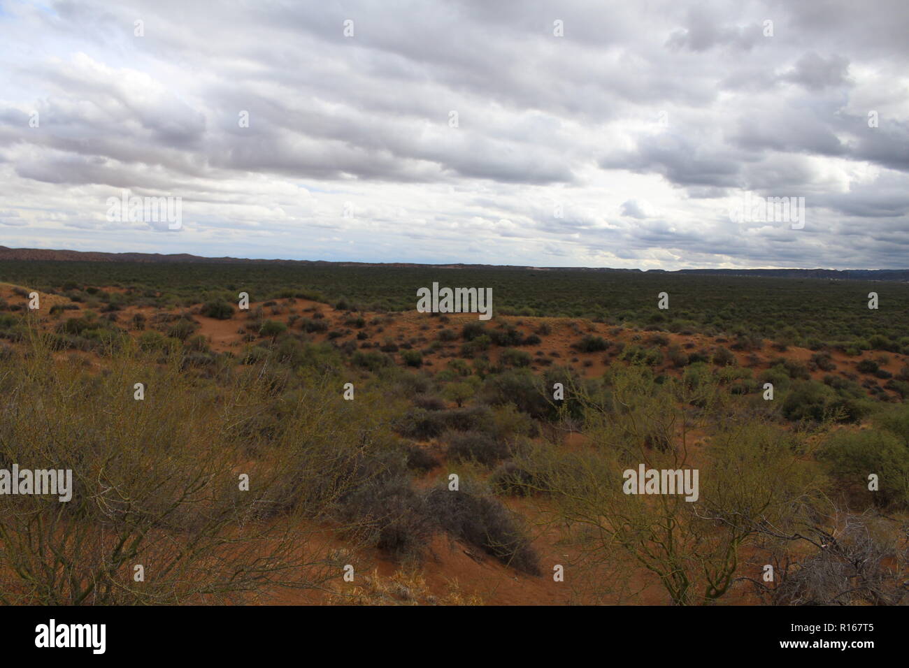 Landscape of dunes, with its characteristic shrub layers Stock Photo ...