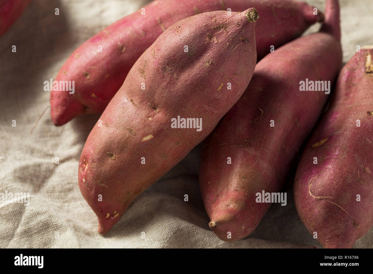 Raw Red Organic Japanese Yams Sweet Potatoes Stock Photo - Alamy