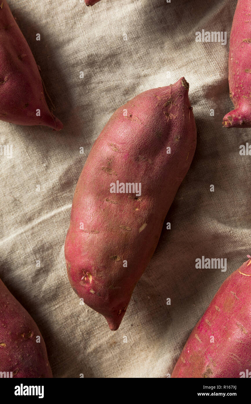 Raw Red Organic Japanese Yams Sweet Potatoes Stock Photo - Alamy