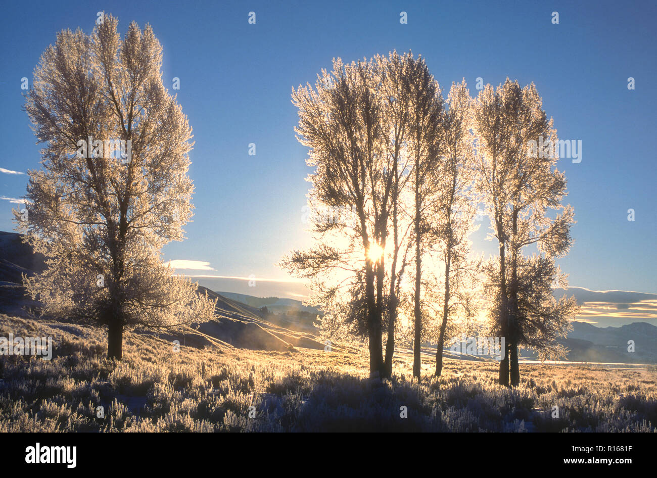 Lamar valley, wyoming hi-res stock photography and images - Alamy