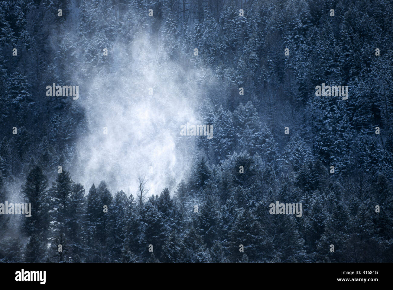 Wind storm hi-res stock photography and images - Alamy