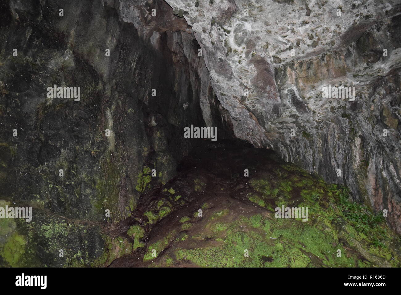 Scotland Cave Caves High Resolution Stock Photography and Images - Alamy