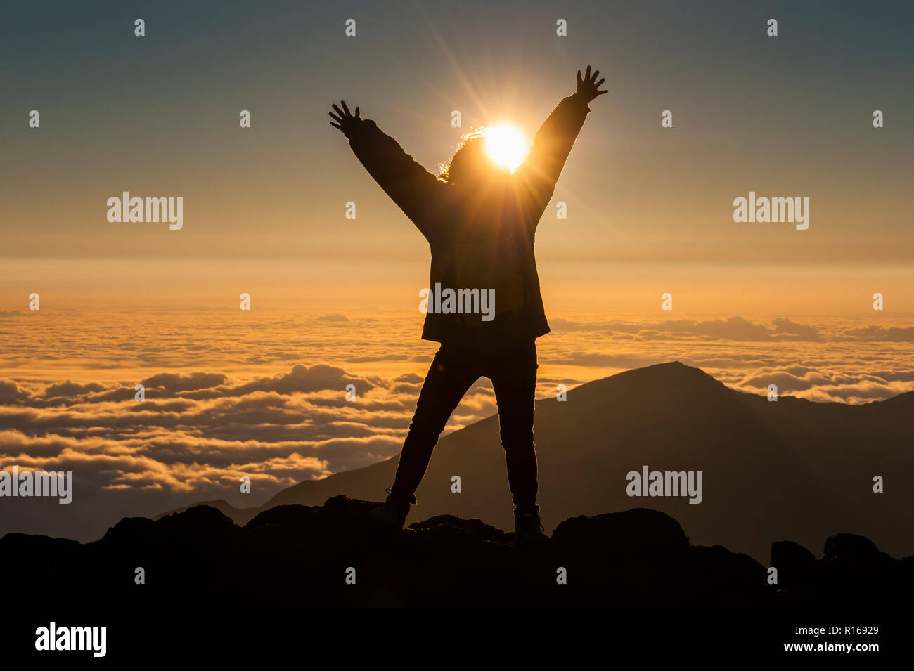 Backlight tourism hi-res stock photography and images - Alamy