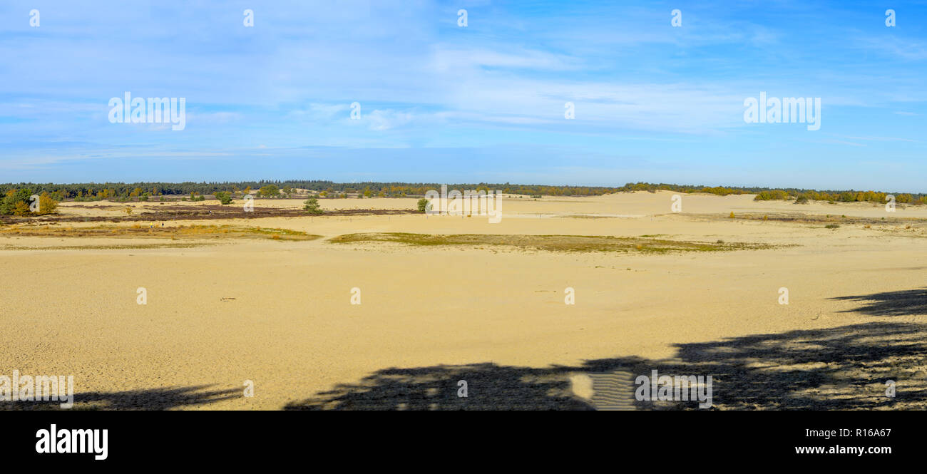 Desert landscape with yellow sand dunes, trees and plants and blue sky ...