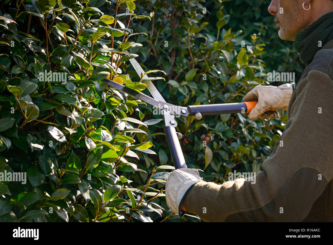 Cutting grass with scissors hi-res stock photography and images - Alamy
