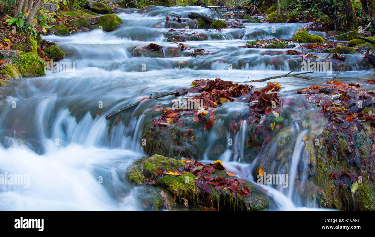 Awesome stream moss water, Plivice National Park Stock Photo - Alamy