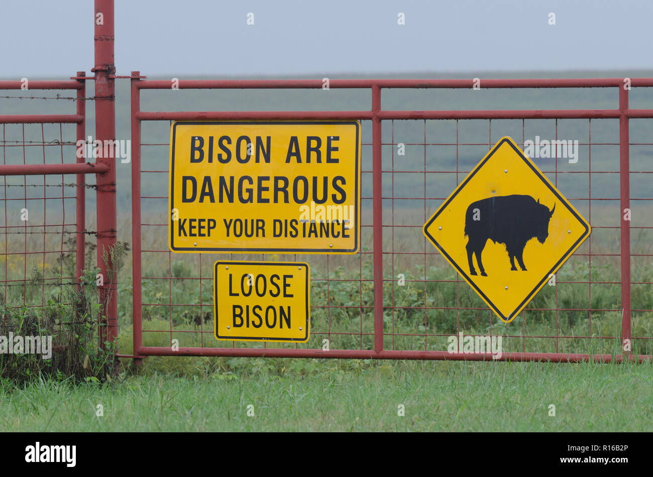 Buffalo warning sign hi-res stock photography and images - Alamy
