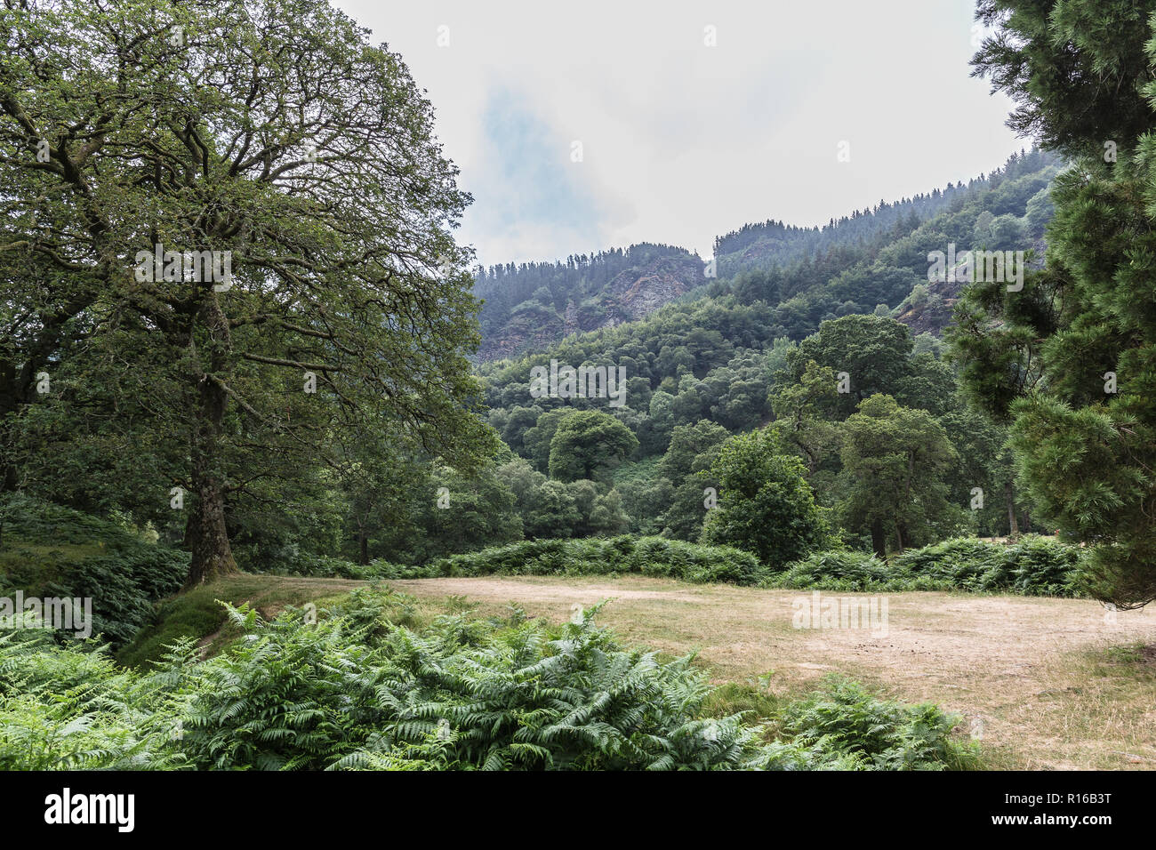Ireland Wicklow Powerscourt Waterfall Stock Photo - Alamy