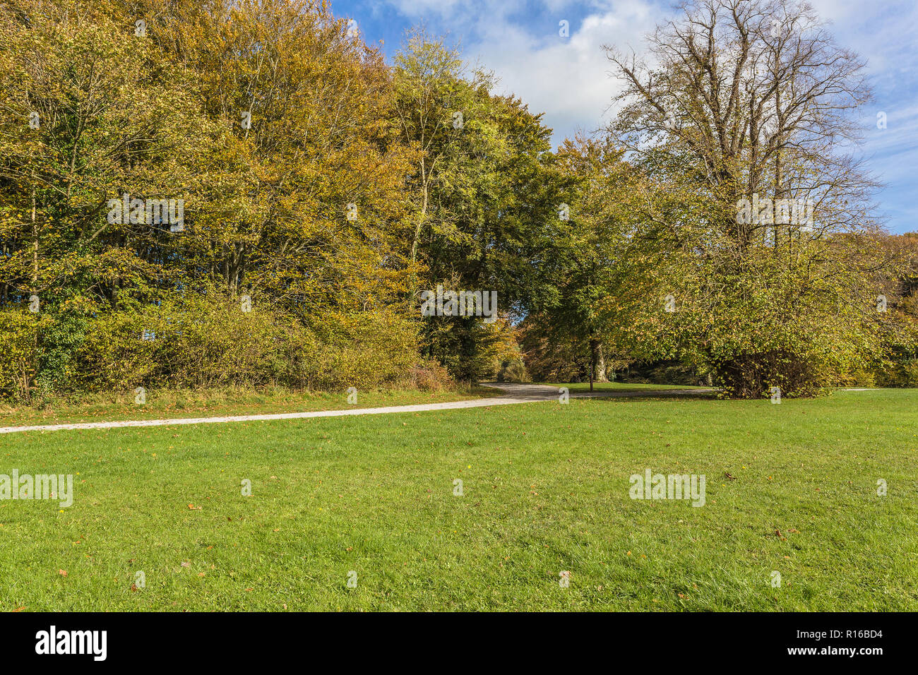 Curraghchase forest park hi-res stock photography and images - Alamy