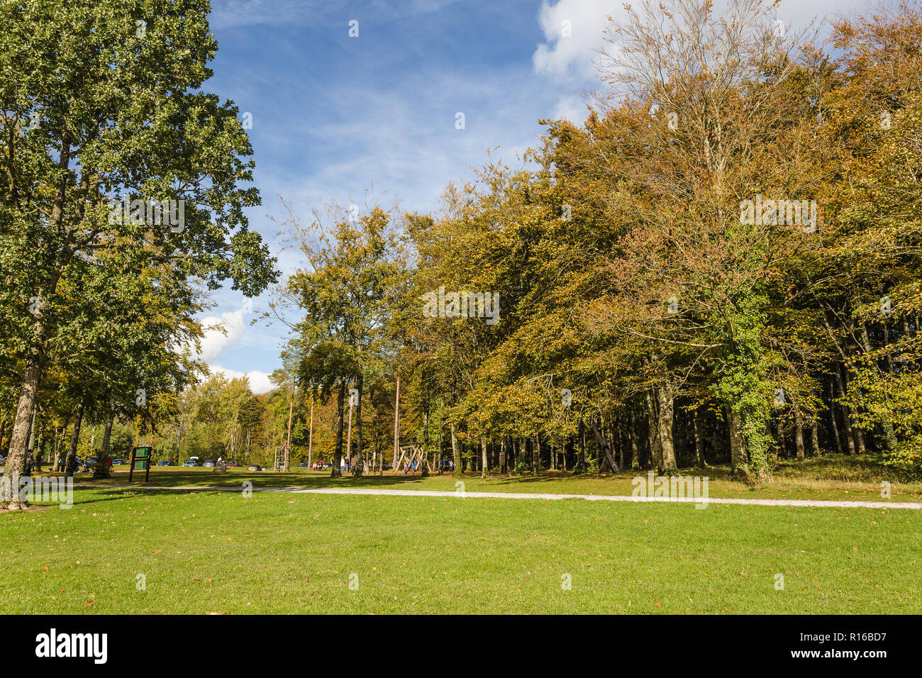 Curraghchase forest park hi-res stock photography and images - Alamy