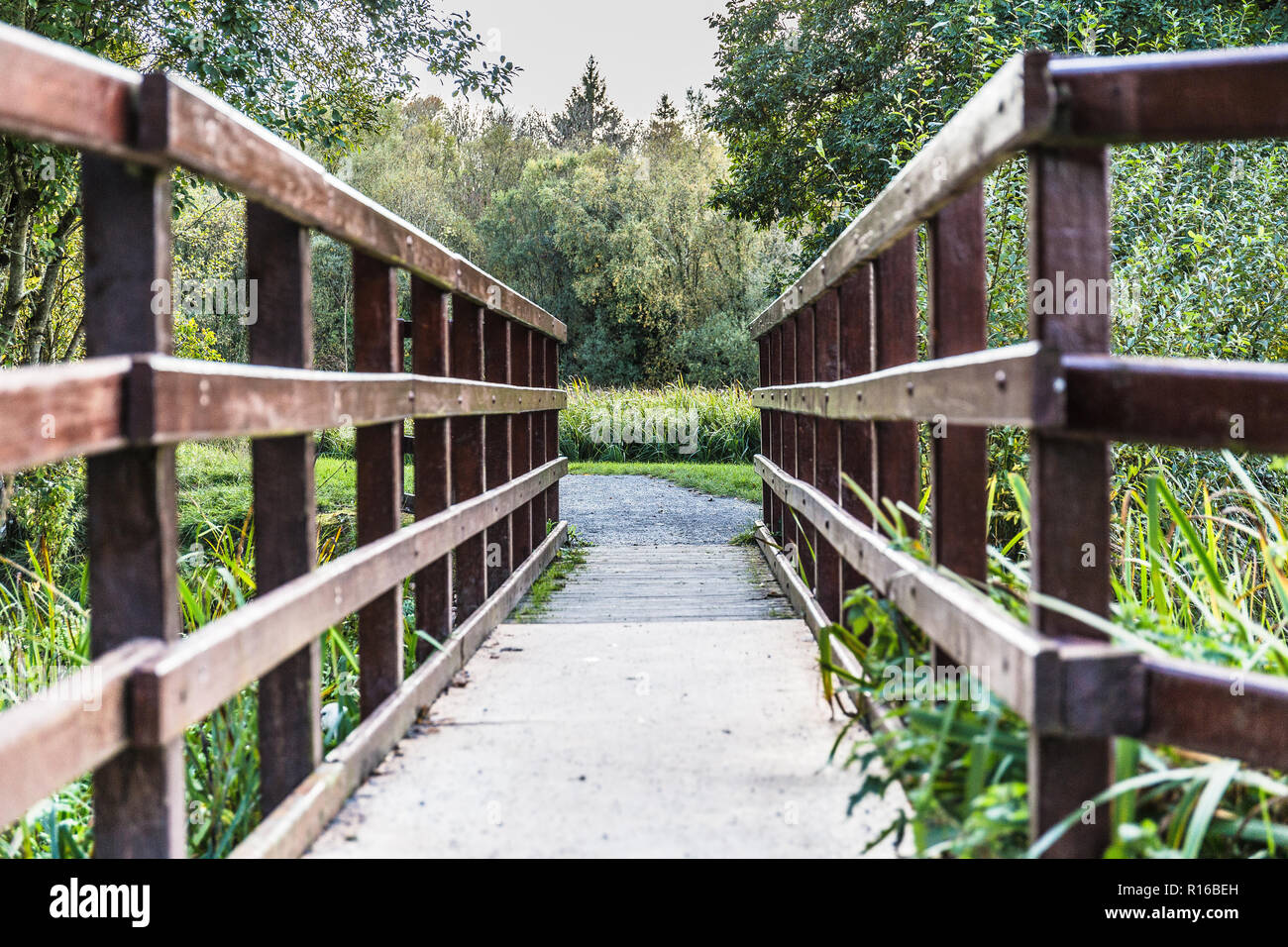 Curraghchase forest park hi-res stock photography and images - Alamy