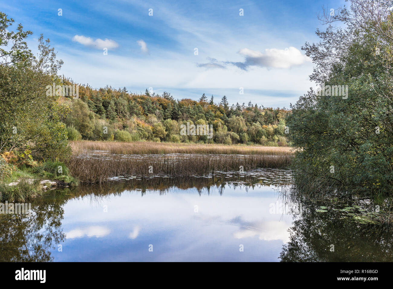 Curraghchase hi-res stock photography and images - Alamy