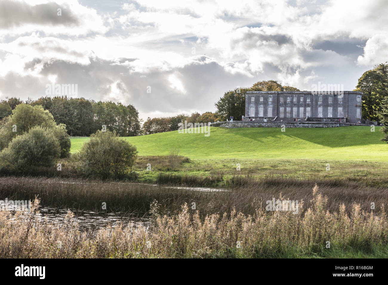 Curraghchase forest park hi-res stock photography and images - Alamy