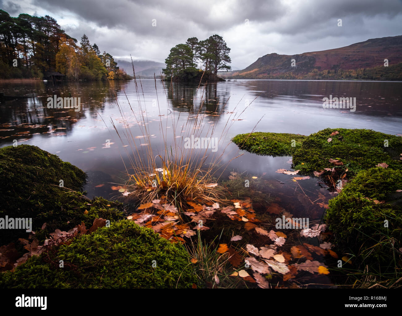Lodore woods hi-res stock photography and images - Alamy