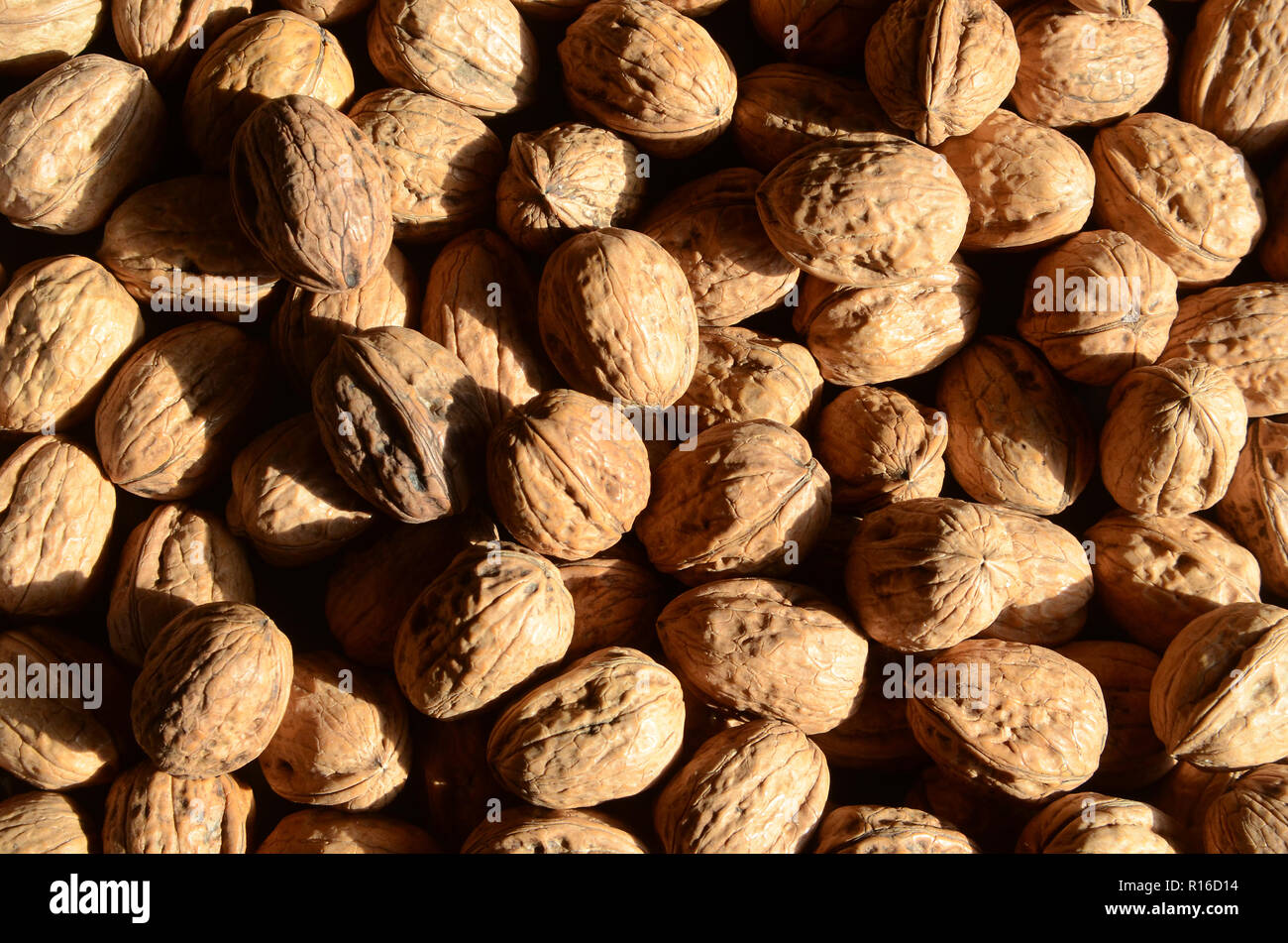 A lot of walnuts seen in low side light Stock Photo - Alamy