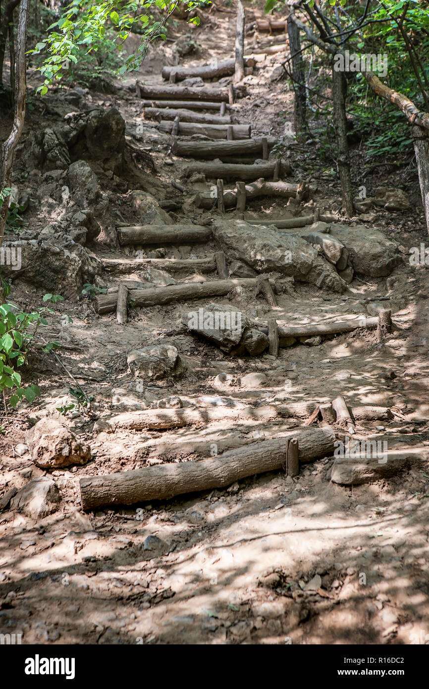 forest footpath up stones and wooden ladder Stock Photo - Alamy
