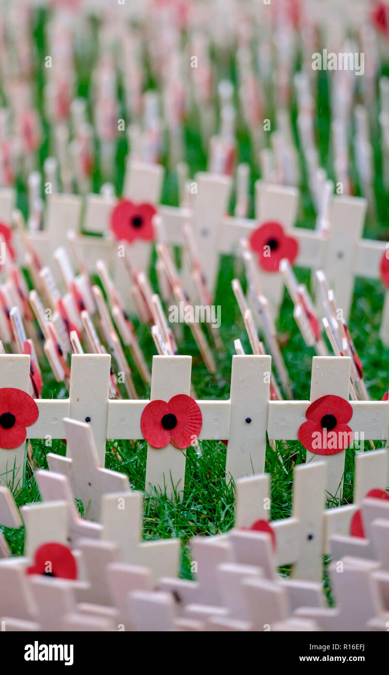 Ww2 poppy fields hi-res stock photography and images - Alamy